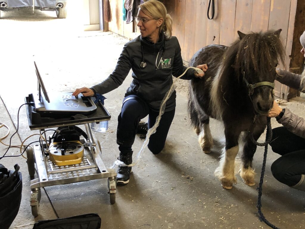 Meet Our Team - Referral Specialists, Piedmont Equine Pract.